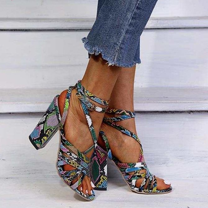 Adjustable Buckle Chunky Heel Sandals Colorful Fashion Heels | Women's ...